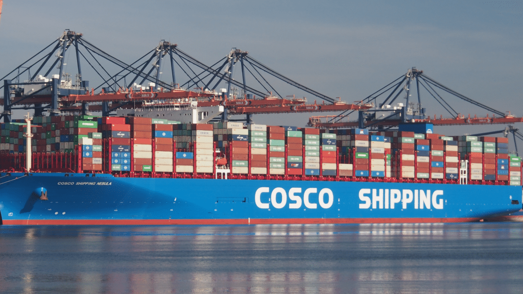 Top 15 Biggest Cargo Ships Sailing Now: Fun Facts - Jack Cooper