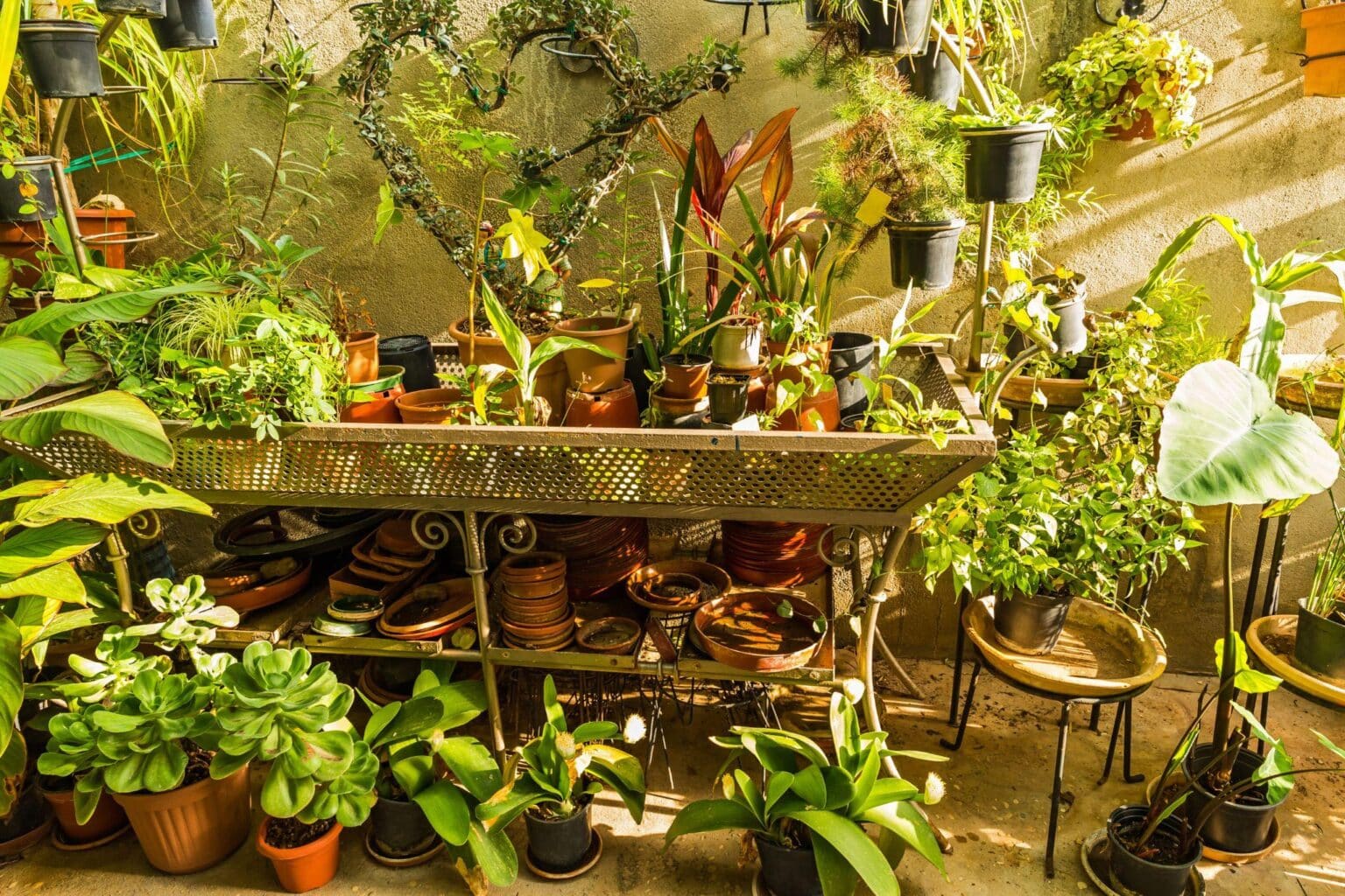 Small Indoor Garden Design: Transform Your Space with Greenery - Jack ...
