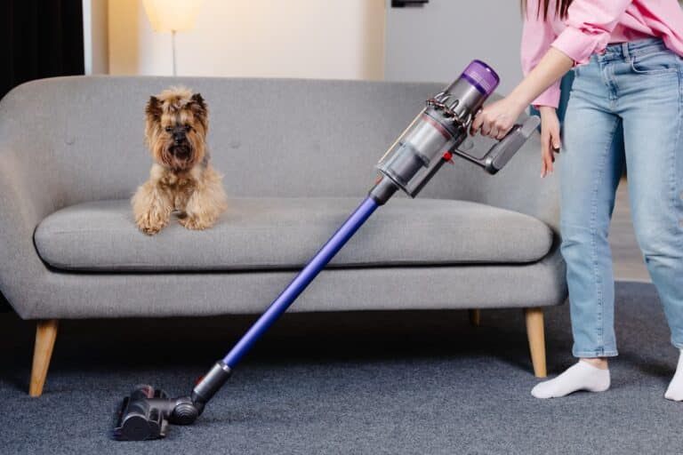 Dyson vs Tineco vs Dreame: Which Cordless Vacuum Is Best for Pet Hair ...
